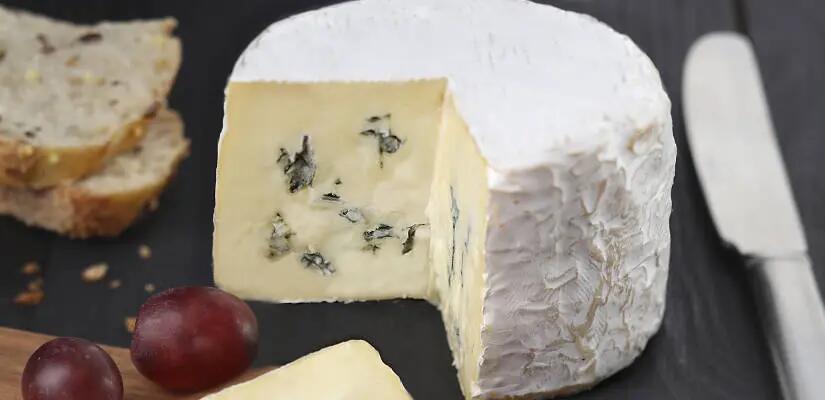 Fromage végétarien et alternative végétale au fromage : quelles ...