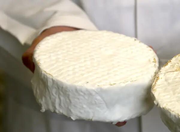 Fromage Coulommiers - Qui veut du fromage